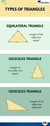 Infographics: Types of Triangles based on Sides - Class 9 PDF Download