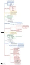 Mind Map: Basic Introduction to Environment - I - Crash Course for UGC ...