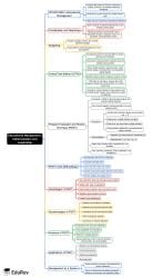 Mind Map: Unit 9: Educational Management, Administration and Leadership ...