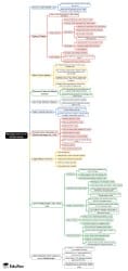 Marriage and Live In Relationships Mind Map - UGC NET Law PDF Download