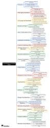 Mind Map: Drug Dependence and Drug Abuse - Forensic Medicine and ...