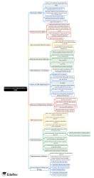 Mind Map: Structure and Organization of DNA - Biochemistry - NEET PG PDF Download