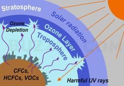 Ozone Depletion - UPSC PDF Download