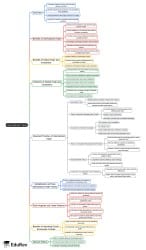 International Trade Mind Map - CA Foundation Business Economics PDF ...