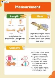 Infographic: Lina’s Family (Measurement) - Mathematics for Class 1 ...