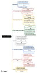 Important Facts about the Human Body Mind Map - DSSSB TGT/PGT/PRT PDF
