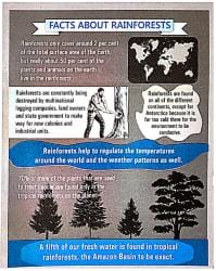 Practice Assignment: 7 - Class 6 BBC Compacta Solutions PDF Download