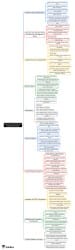 Business Continuity and Disaster Recovery Mind Map - CPA (US) ISC ...