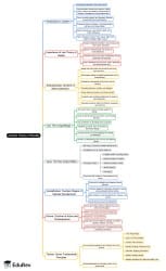 Theory of Reality Mind Map - UPSC PDF Download