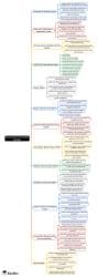 Security Forces and Their Mandate Mind Map - UPSC PDF Download