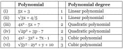 Facts That Matter- Polynomials - Class 10 PDF Download