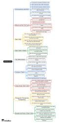 Mind Map: Cell Division - Grade 10 PDF Download