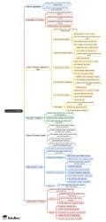 Mind Map: Forest and Wildlife - Grade 4 PDF Download