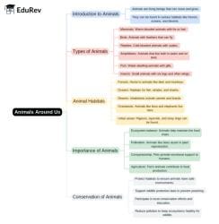 Mind Map: Animals Around Us - Class 1 PDF Download