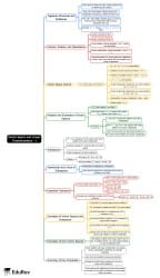 Vector Space and Linear Transformation Mind Map - PDF Download