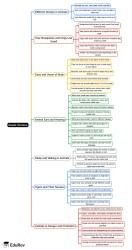 Mind Map: Super Senses - Class 5 PDF Download