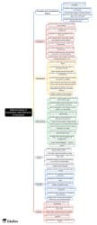 Mind Map: National Values of Constitution with Reference to Education ...