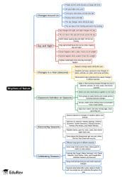 Rhythms of Nature Mind Map - Class 5 EVS PDF Download