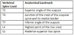 Back Region Chapter Notes - Anatomy - NEET PG PDF Download