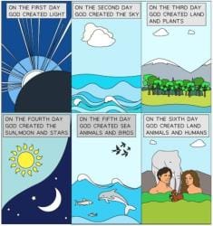 Creation - Religion, Philosophy and Ethics for GCSE/IGCSE - Year 11 PDF ...