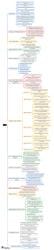 Mind Map: Liver - Pathology - NEET PG PDF Download