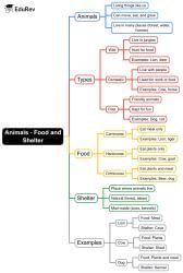 Mind Map: Animals - Food and Shelter - EVS for Class 1 PDF Download