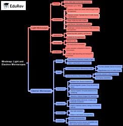 Mind Map: Elementary and Composite Particles - EmSAT Achieve PDF Download