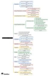 Mind Map: Reproduction in Humans - Class 8 PDF Download