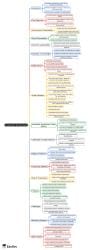 Mind Map: Sustainable Development - UPSC PDF Download
