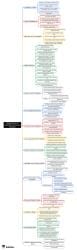 Mind Map: Introduction to the Constitution of India and Preamble - CLAT ...