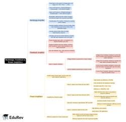 Mind Map: Multistage, Feedback and Power Amplifiers - Analog Circuits ...