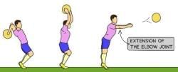 Types of Movement in Sport - Physical Education for GCSE/IGCSE - Year ...