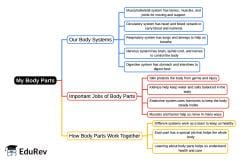 My Body Parts Mind Map - LKG PDF Download