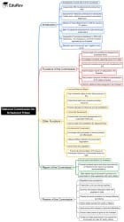 National Commission for Scheduled Tribes Mind Map - Judiciary Exams PDF