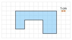 Perimeter - Year 7 PDF Download