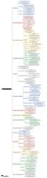 Mind Map: Biosphere to Ecosystems - Life Sciences for Grade 10 PDF Download