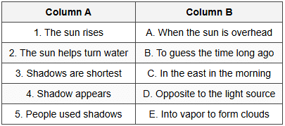 Worksheet with Solutions: The Sun and the Shadows - Science Class 2 ...