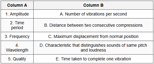 Sound Worksheet - Class 8 Physics ICSE PDF Download