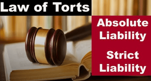 Doctrine of Strict Liability and Absolute Liability - Legal Reasoning