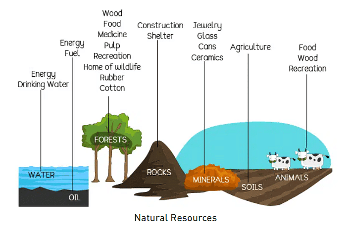 Conservation Of Natural Resources