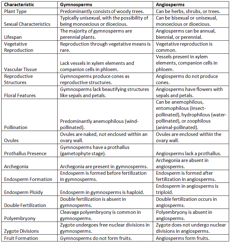 Classification of Gymnosperms - Botany Optional for UPSC PDF Download