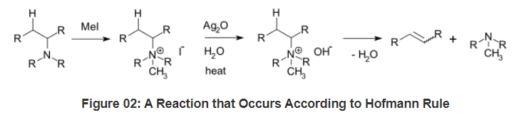 Difference Between Saytzeff and Hofmann Rule - Chemistry Optional Notes ...