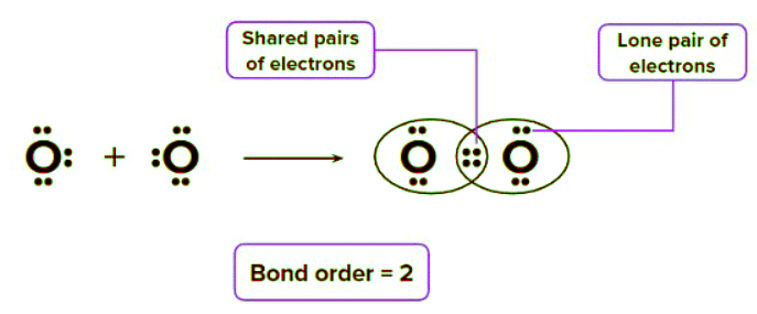 Bond Parameters: Bond angle, Bond length, Bond order - Chemistry ...