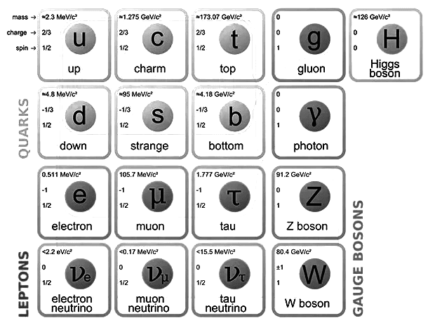 Classification of Elementary Particles - Physics Optional Notes for UPSC