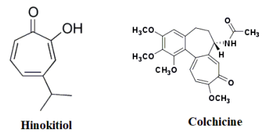 Tropones And Tropolones - Chemistry Optional Notes for UPSC PDF Download