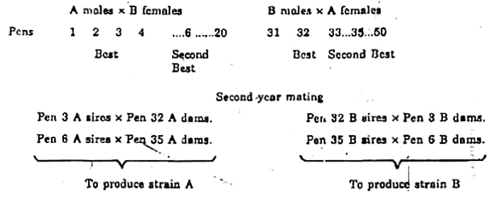 Reciprocal Recurrent Selection - Animal Husbandry and Veterinary ...