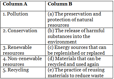 Pollution And Conservation Of Environment - 1 Worksheet - Class 5 ...