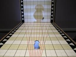 Why are shadows made? - Year 6 Science PDF Download