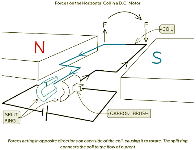 Electric Motors - Physics for GCSE/IGCSE - Class 10 PDF Download