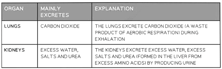 Igcse Biology 91 2i Excretion Humans Teaching Resources Excretion In